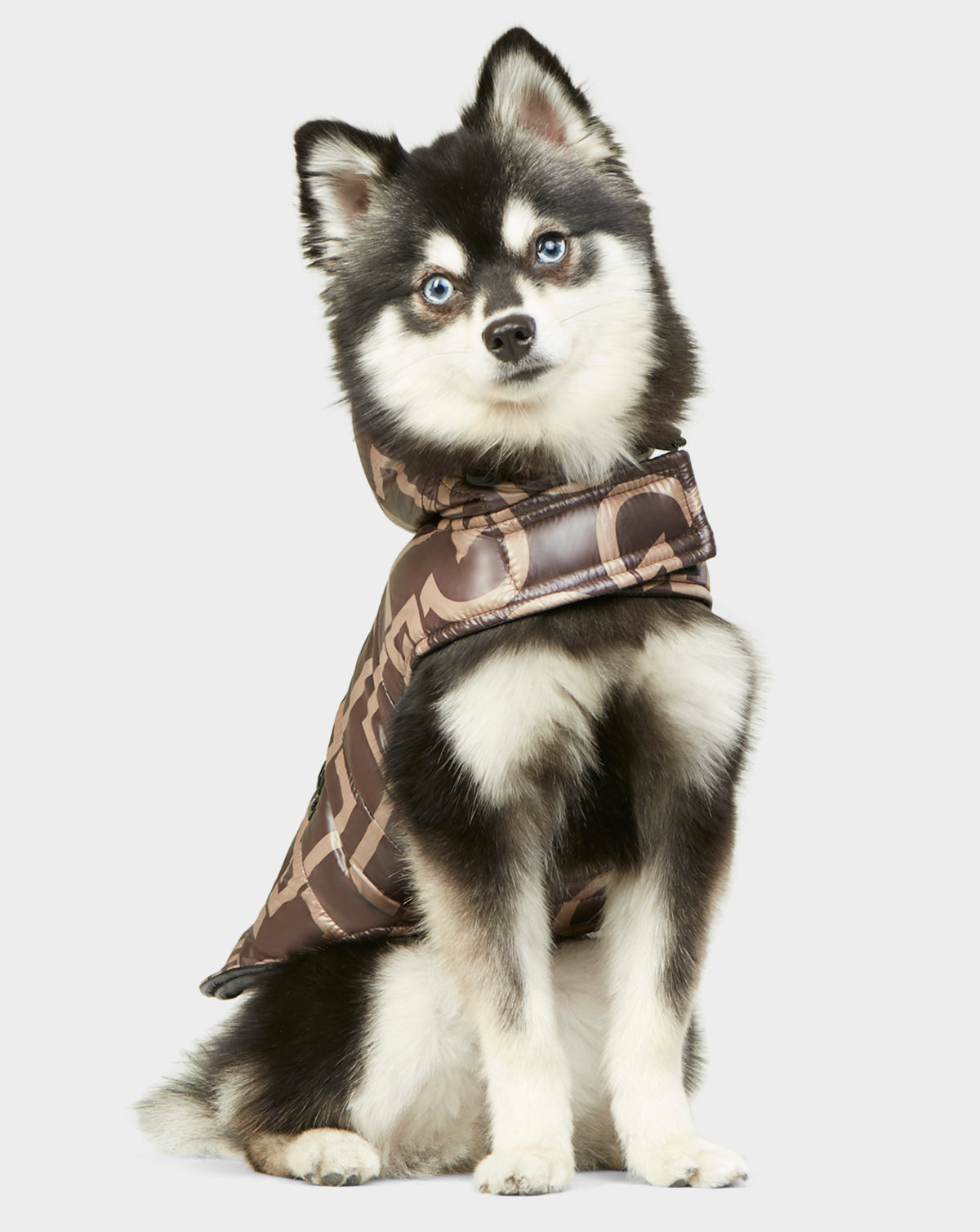 BUDDIE - 9122520 RUDSAK PRINT – Rudsak